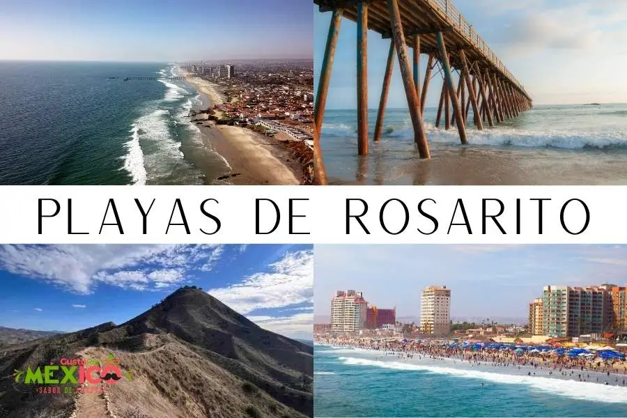 Baja California: Conoce lo MÁS TOP del estado