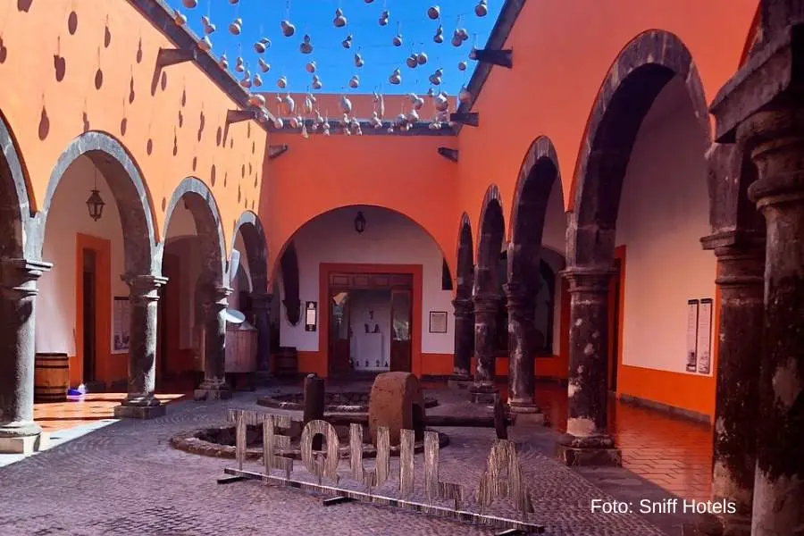 Los 15 Mejores Museos en Jalisco: Un Recorrido Cultural