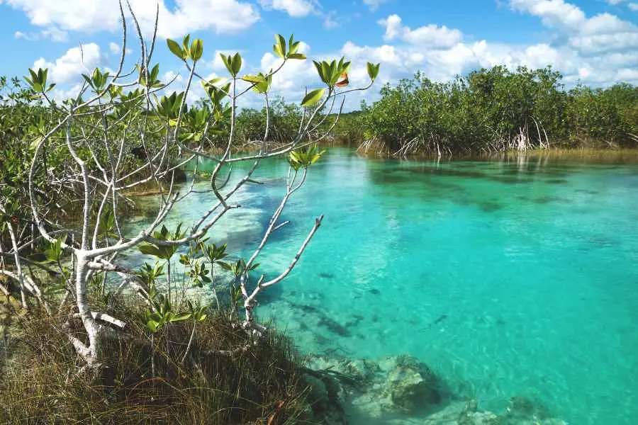 Bacalar México: Tu Guía Definitiva para Explorar el Paraíso Turquesa!